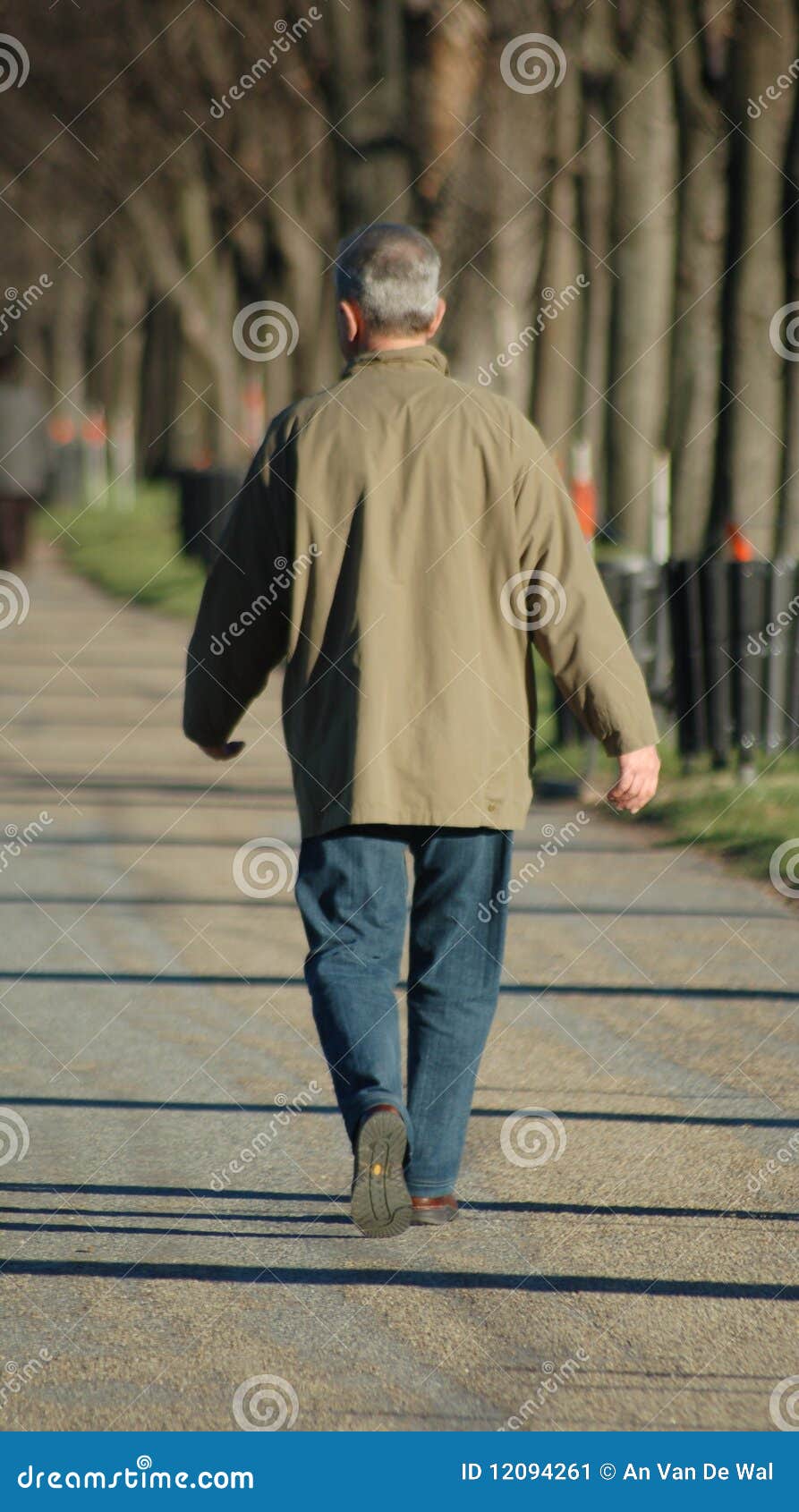 Man walking in the park stock image. Image of lane, sunlight - 12094261