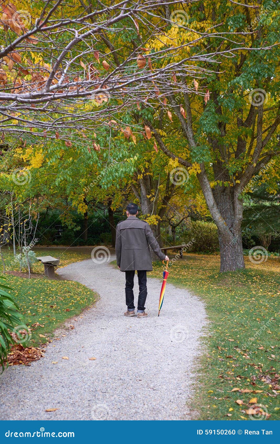 Man Walking in Park in Autumn / Fall Season Stock Photo - Image of ...