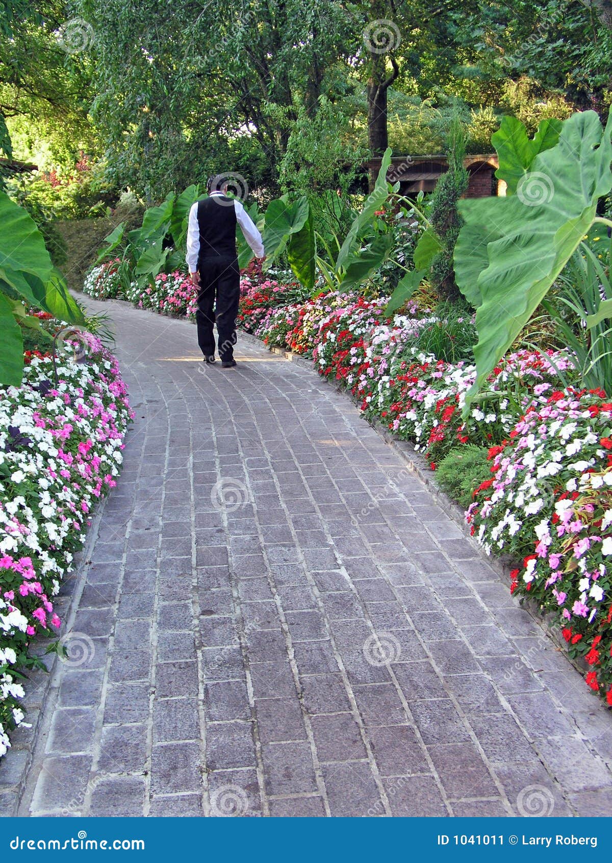 Man walking on path stock image. Image of shade, fauna - 1041011