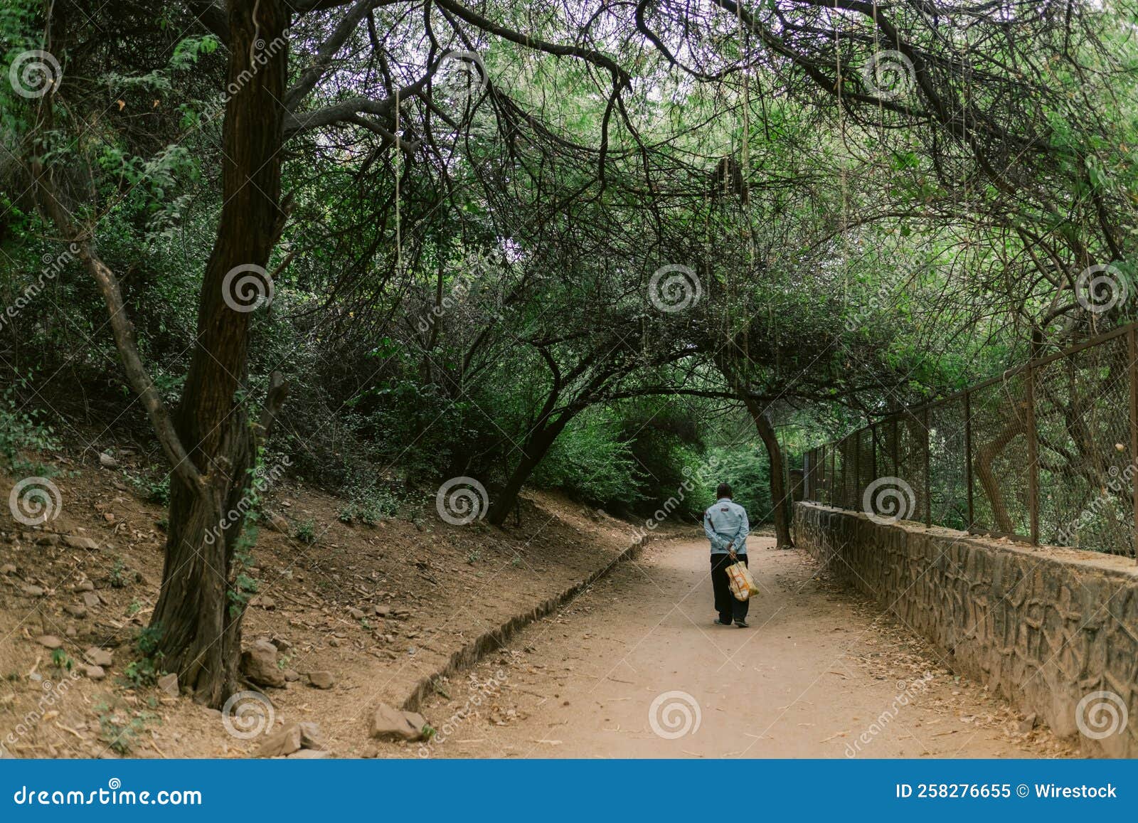 Man Walking on a Path in a Forest Stock Image - Image of footpath ...