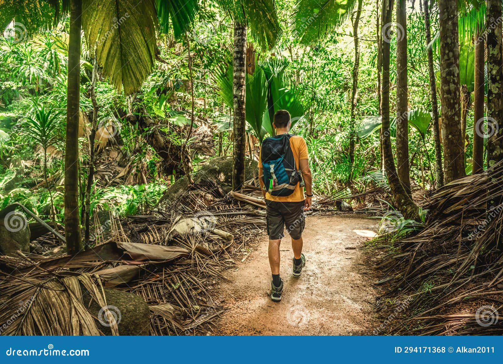 Man Walking on a Path in the Jungle Stock Photo - Image of leaves ...