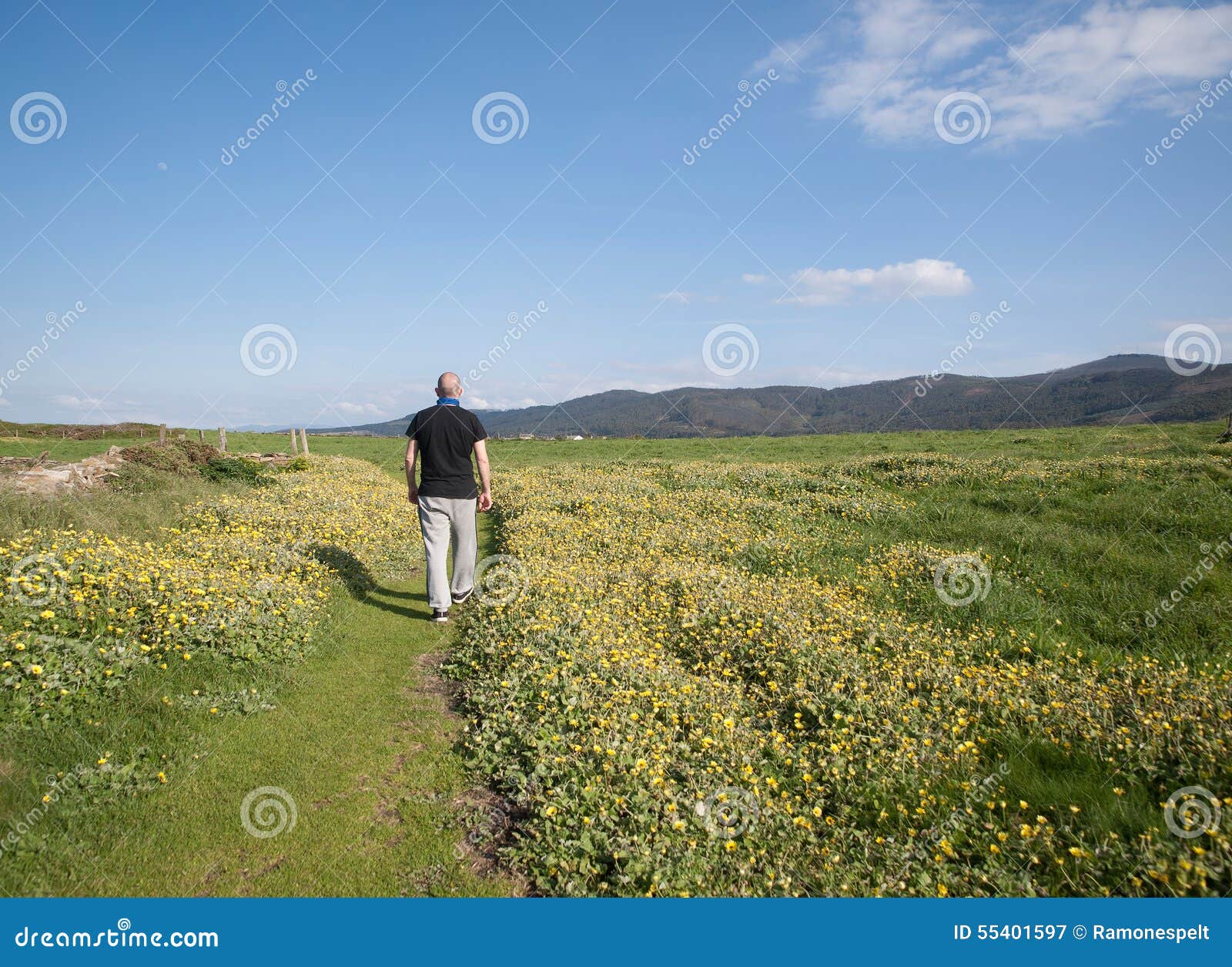 Man Walking in a Path in the Middle of Meadow Stock Image - Image of ...