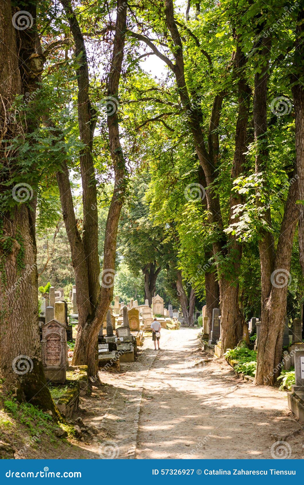Path Through The Cemetery Stock Photo | CartoonDealer.com #16351218