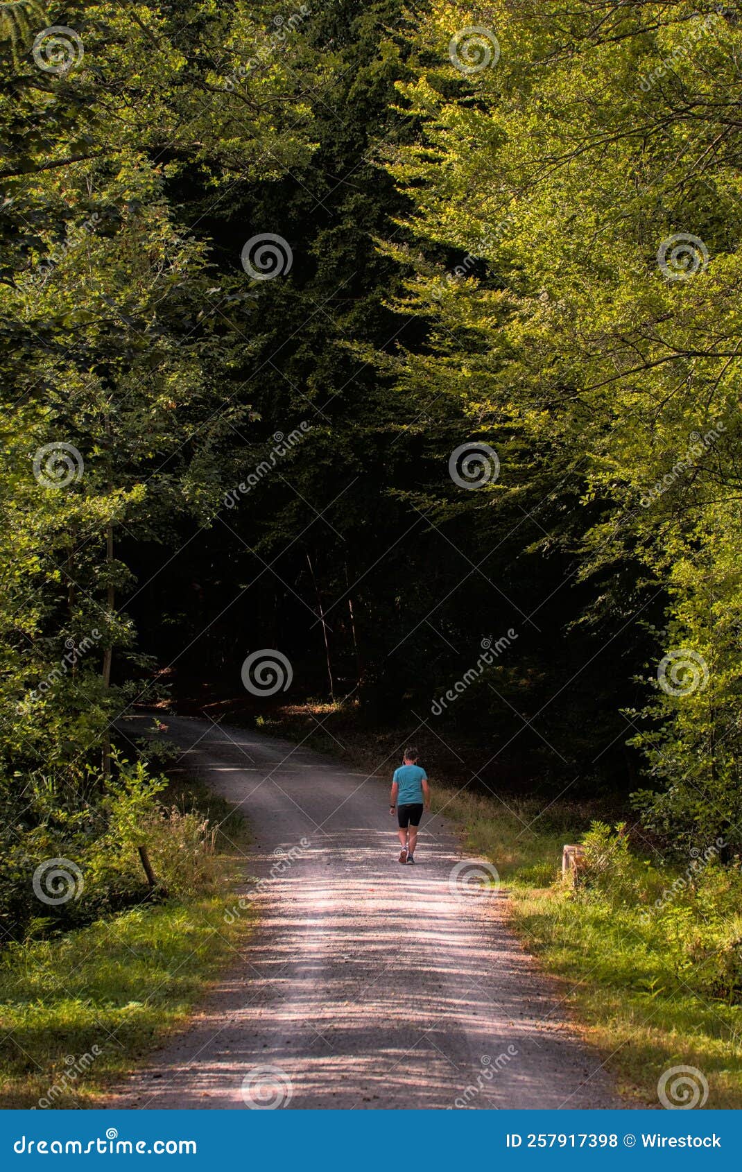 Man Walking by a Pathway in the Middle of the Forest Stock Photo ...
