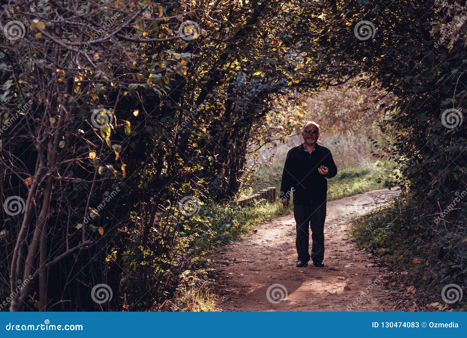 Man Walking on the Pathway Surrounded with Green Trees and Bushes Stock ...