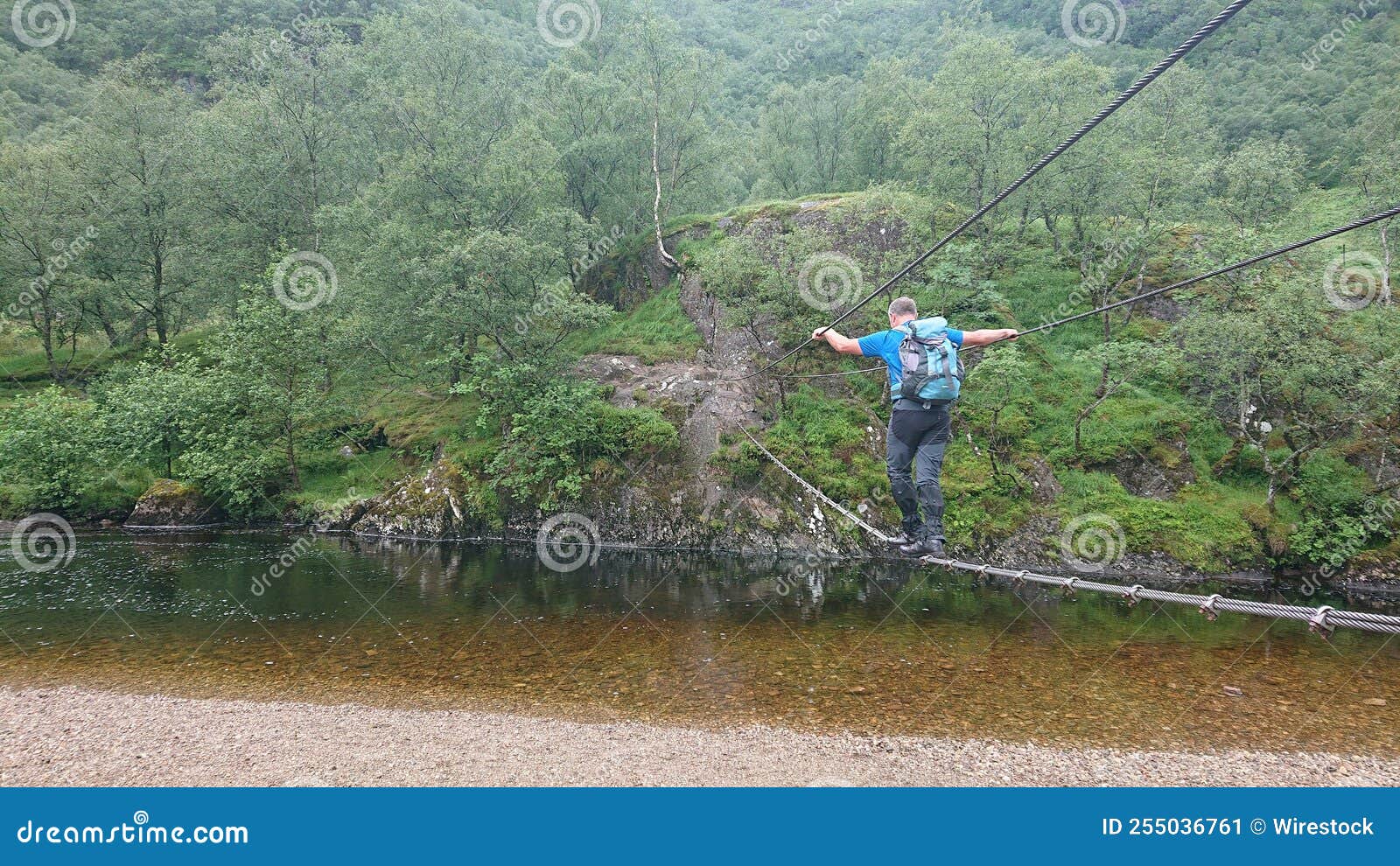 Man Walking on a Rope Over a River Surrounded by a Forest in Daylight ...