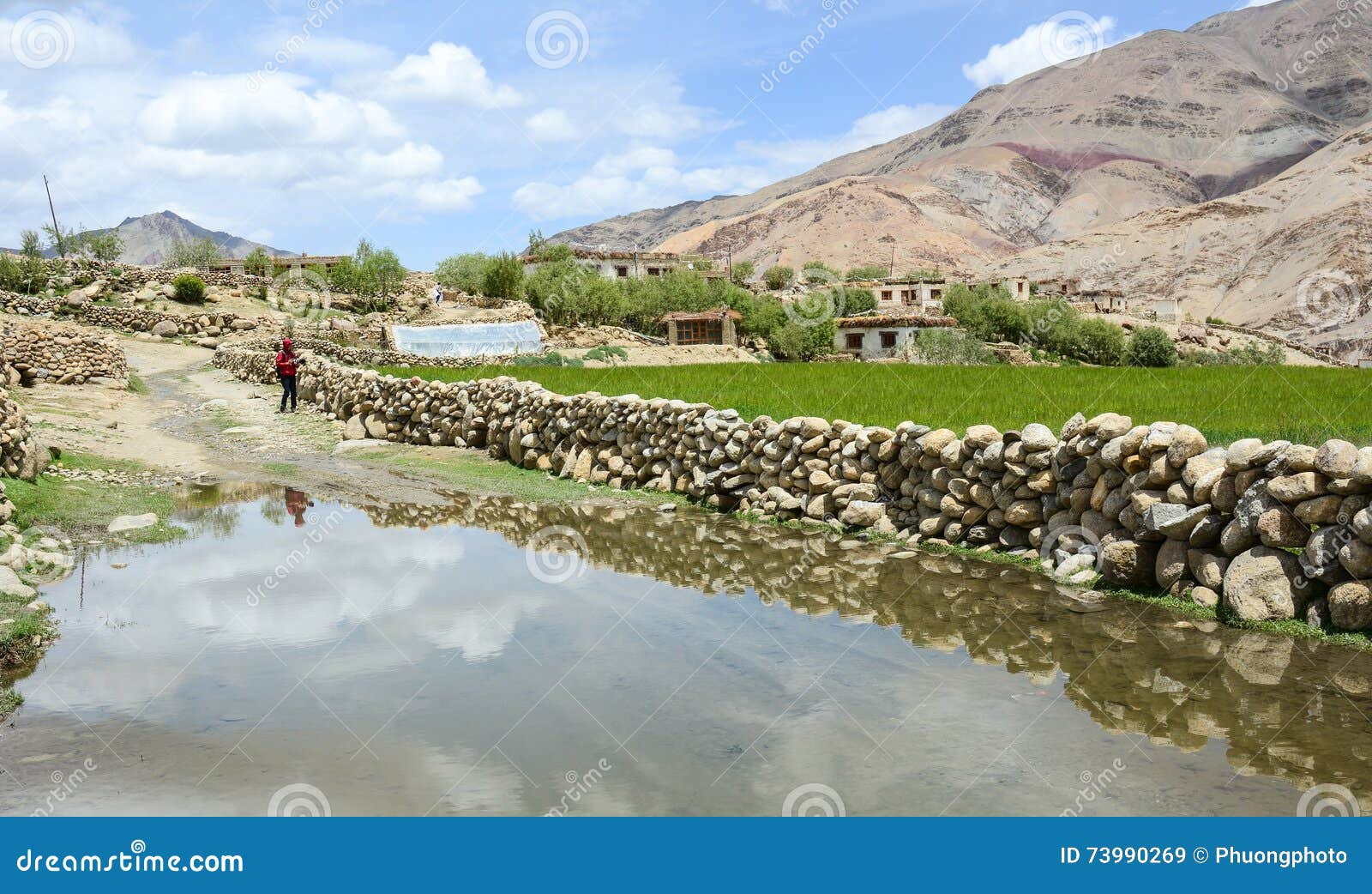 A Man Walking on Rural Road in Manali, India Editorial Stock Image ...