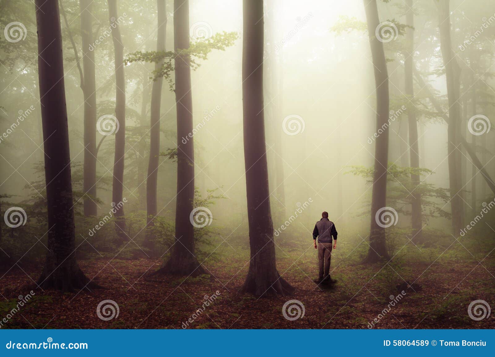 Man Walking in Scary Forest with Fog. Stock Image - Image of flora ... Man Walking in Scary Forest with Fog. Stock Image - Image of flora ...
