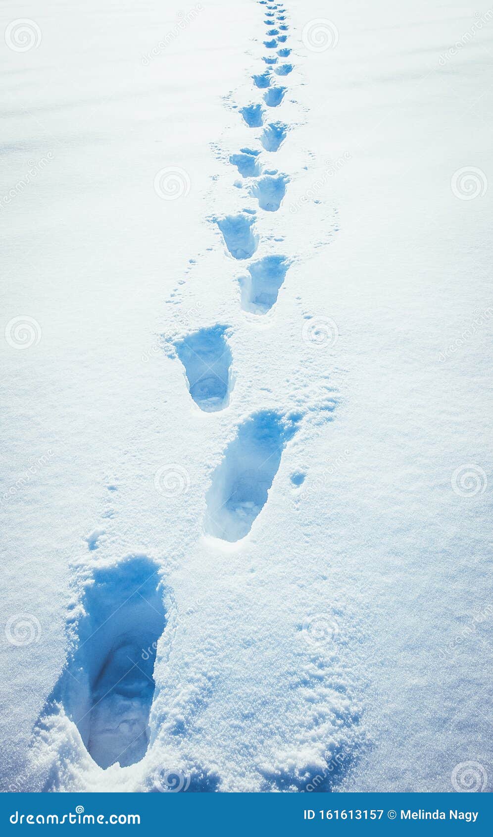 Man Walking in Snow Footprints Stock Illustration - Illustration of ...