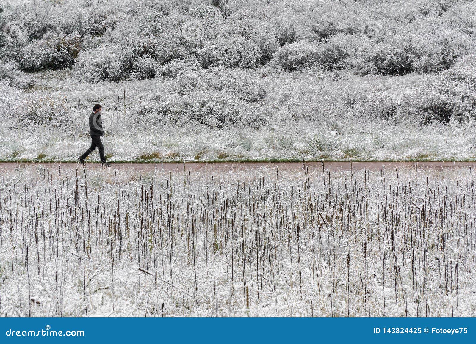 Man walking on snow path editorial image. Image of hiking - 143824425