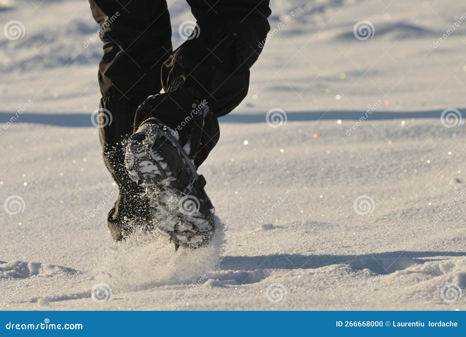 Man Walking on Snow with Shoe Spikes in Winter Stock Photo - Image of ...