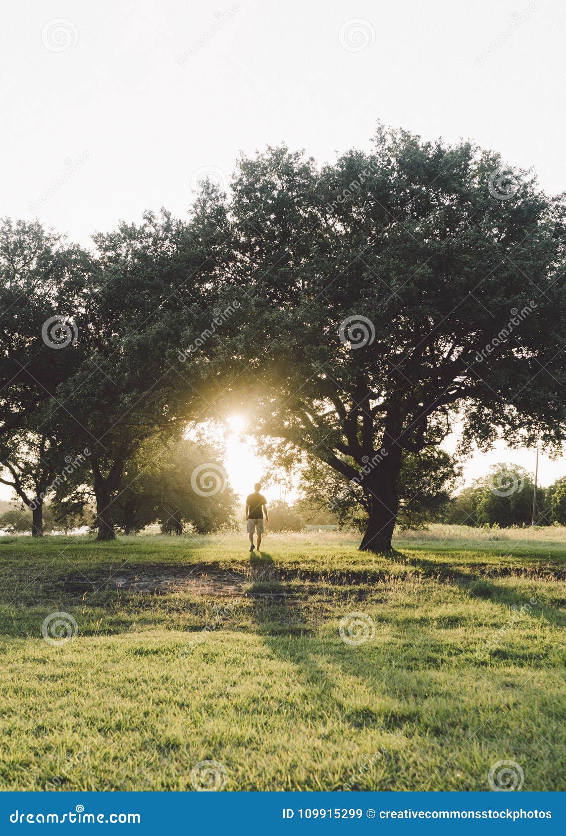 Man Walking During Sunrise Picture. Image: 109915299
