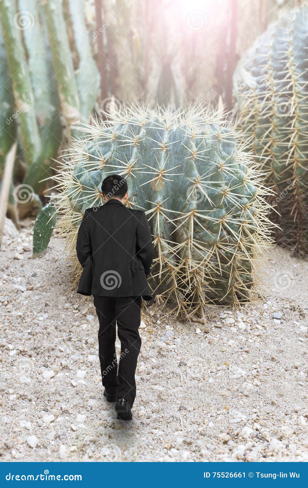 Man walking toward cactus stock image. Image of concept - 75526661