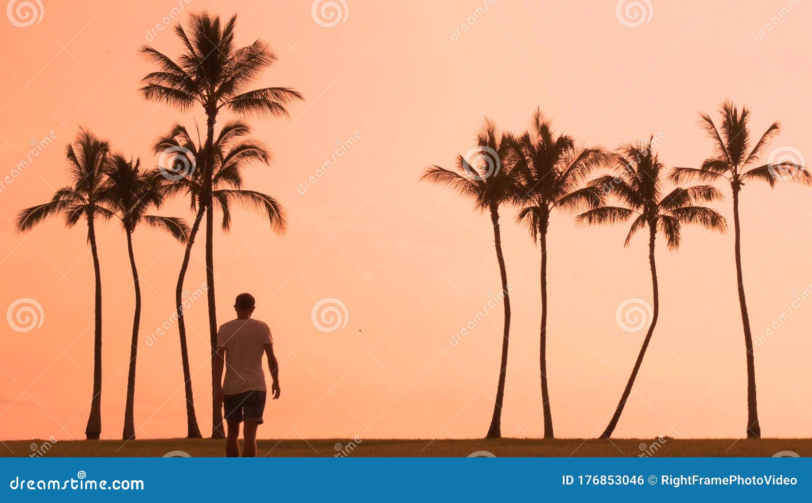 Man walking towards sunset stock footage. Video of glitter - 176853046
