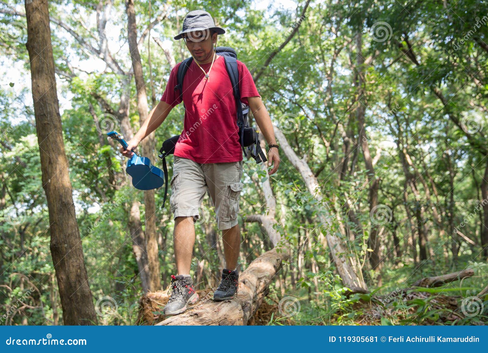 Man Walking on a Tree while Hiking Stock Image - Image of activity ...