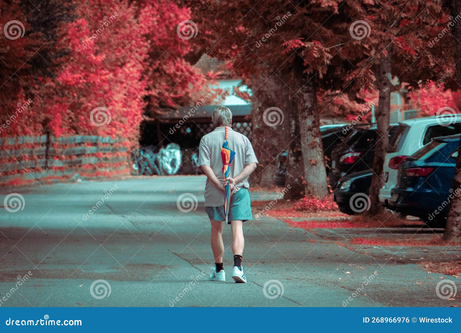 Man Walking on the Tree with an Umbrella on the Back. Stock Photo ...