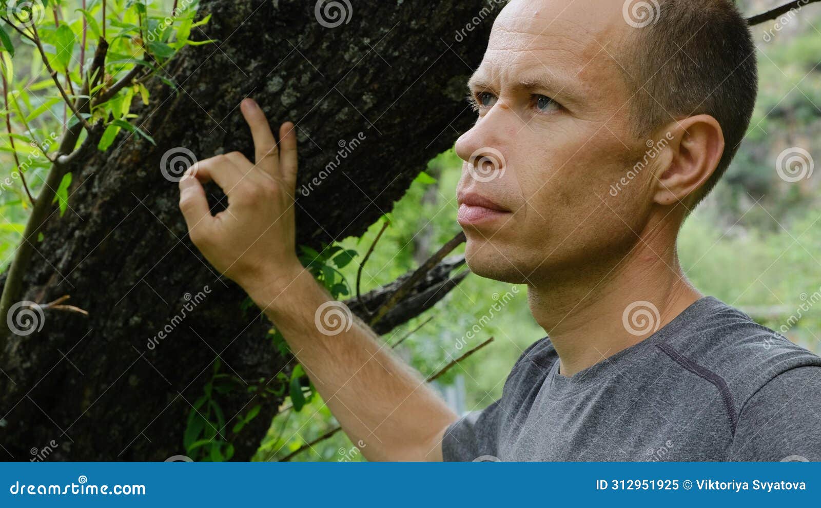 A Man Walking among the Trees. Stock Image - Image of middleaged ...