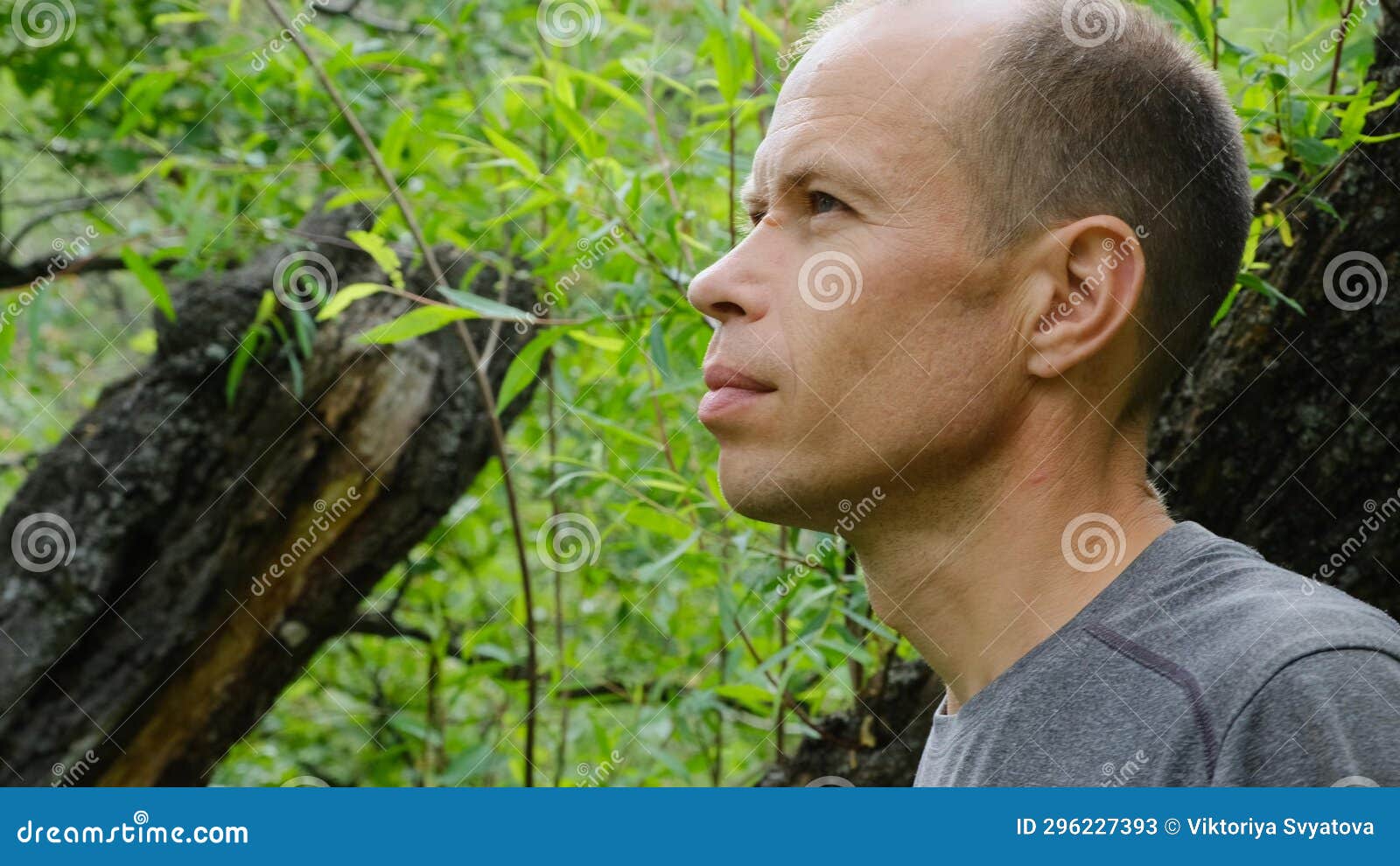 A Man Walking among the Trees. Stock Image - Image of attractive ...