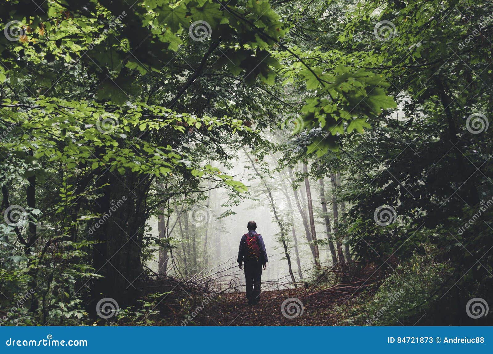 Man Walking Trough the Woods Stock Image - Image of dark, enchanted ...