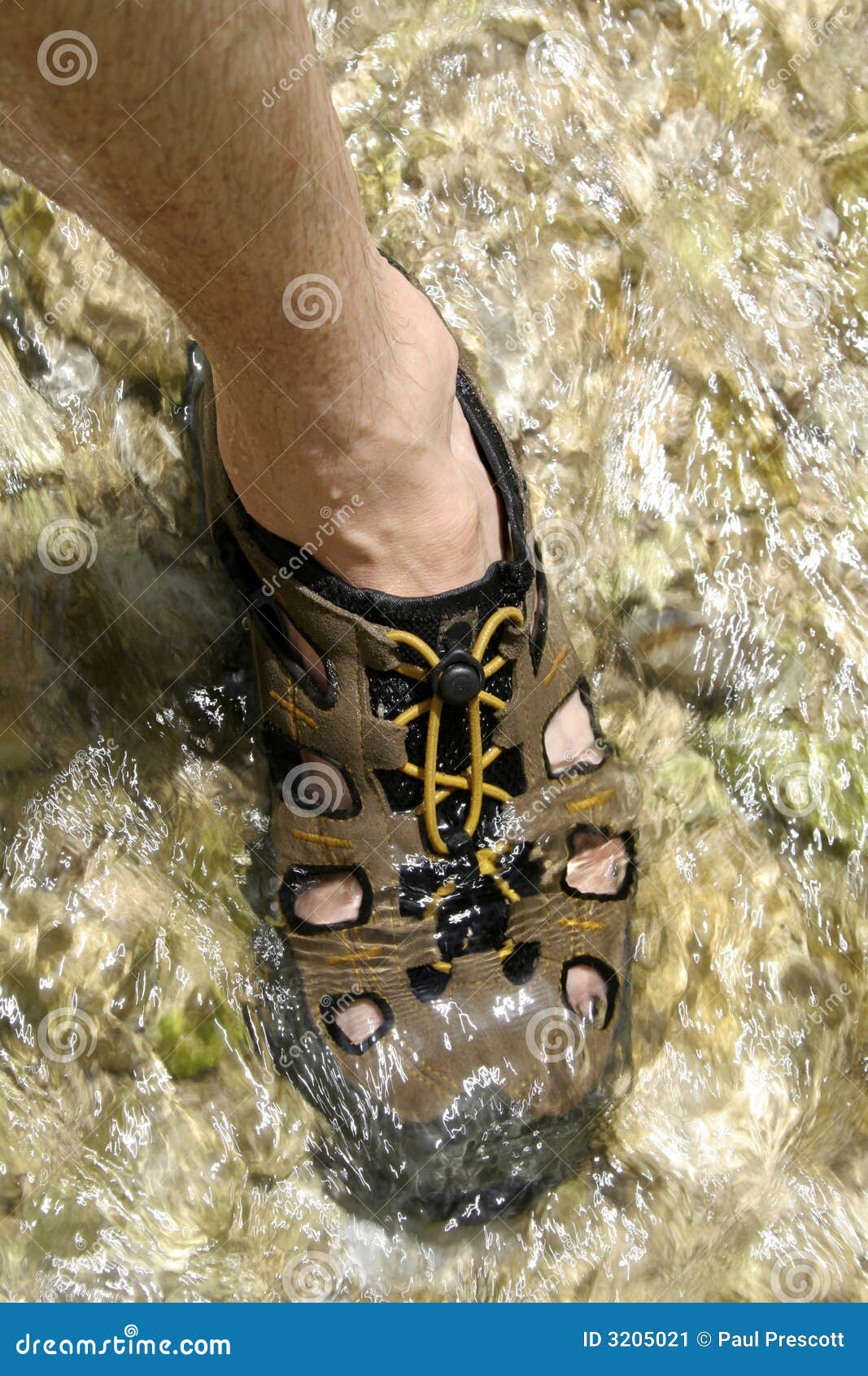 Man walking in water stock image. Image of stone, mountain - 3205021