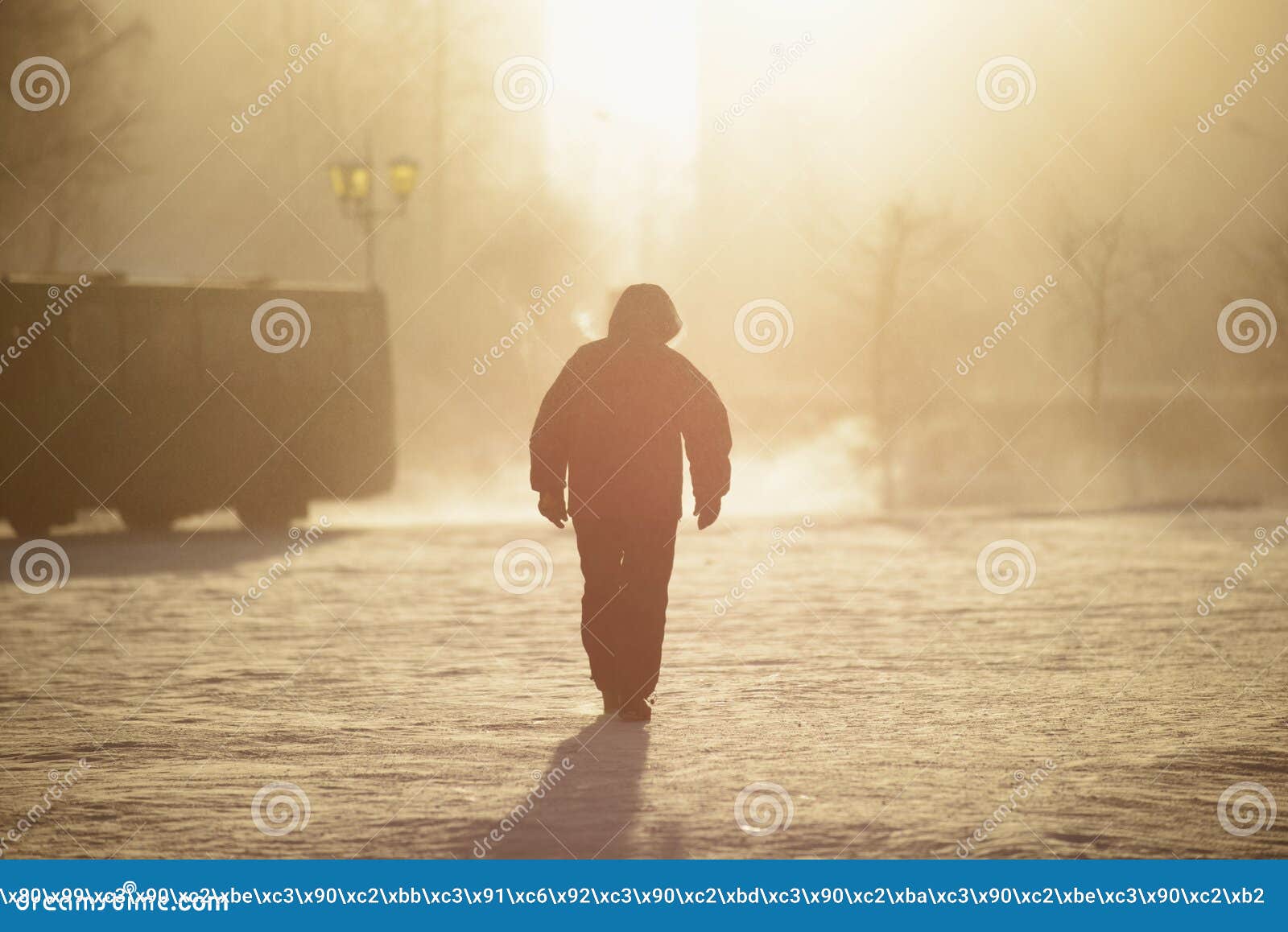 Man walking in winter fog stock photo. Image of scene - 101736474
