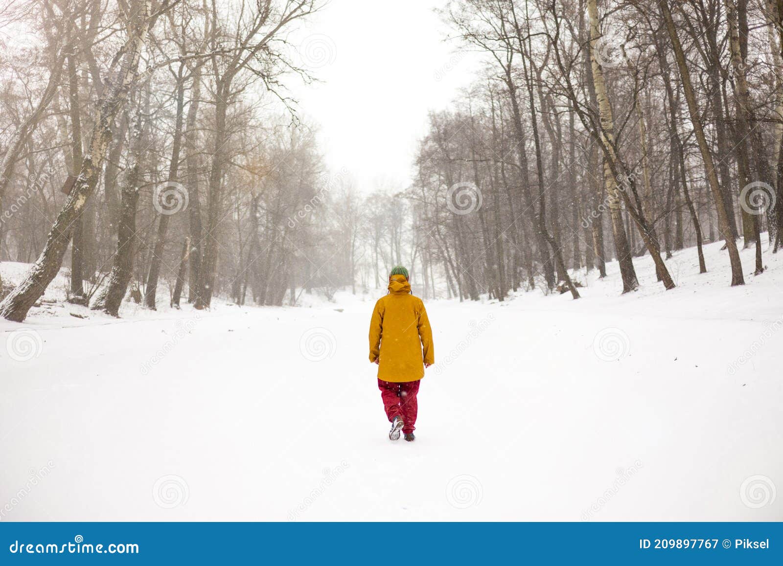 Man Walking through a Winter Wonderland Forest Stock Image - Image of ...