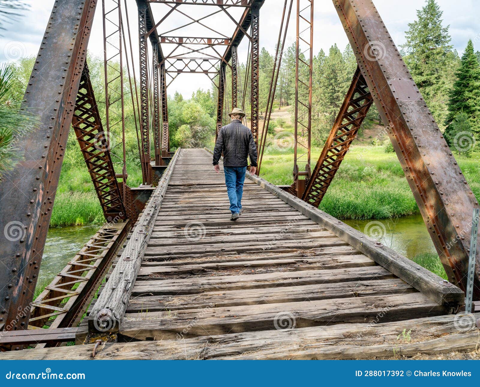 Man Walks Across a Bridge in a Forest Stock Photo - Image of bridge ...
