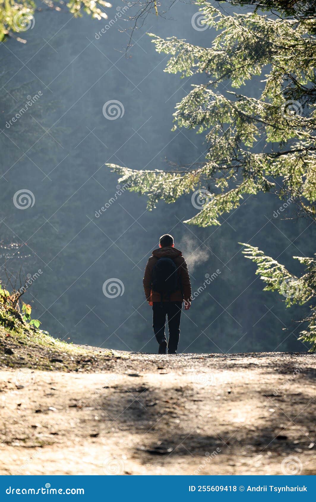 A Man Walks Along the Forest Paths in the Fog, the Sun S Rays Break ...
