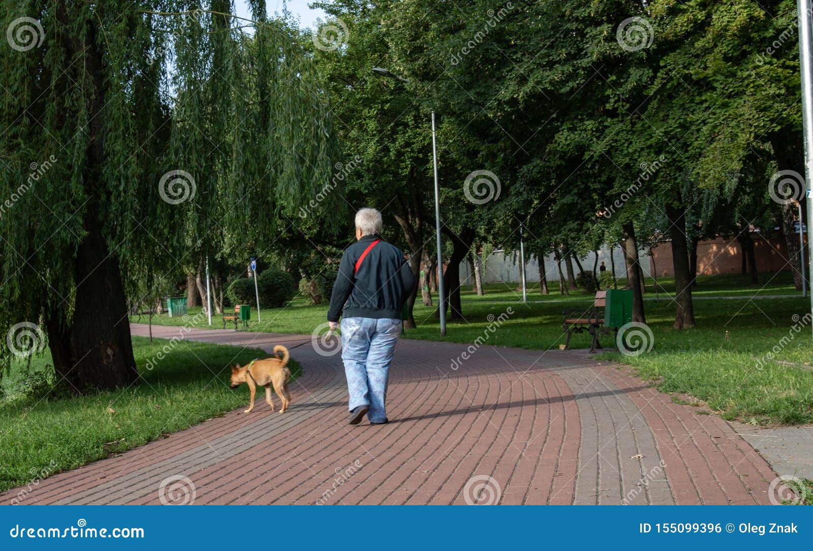 Man walks with a dog editorial photo. Image of lifestyle - 155099396