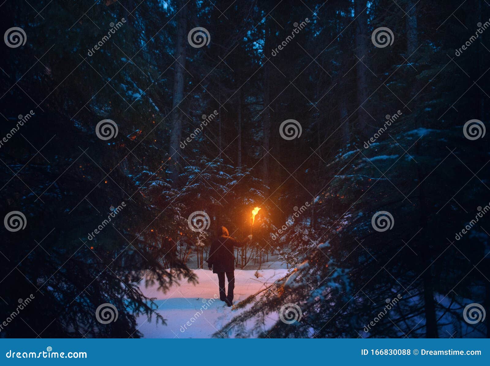Hiker with a Torch in a Snowy Forest Stock Photo - Image of river ...