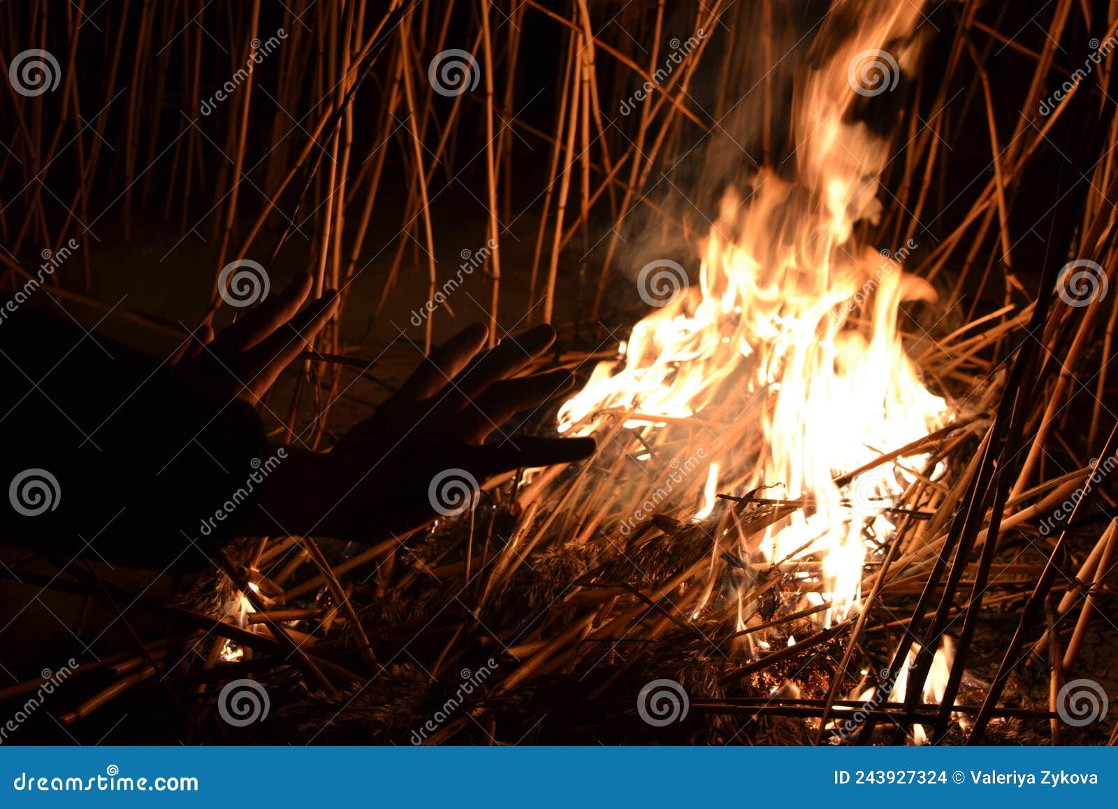 Fire lit at night stock photo. Image of fire, warming - 243927324