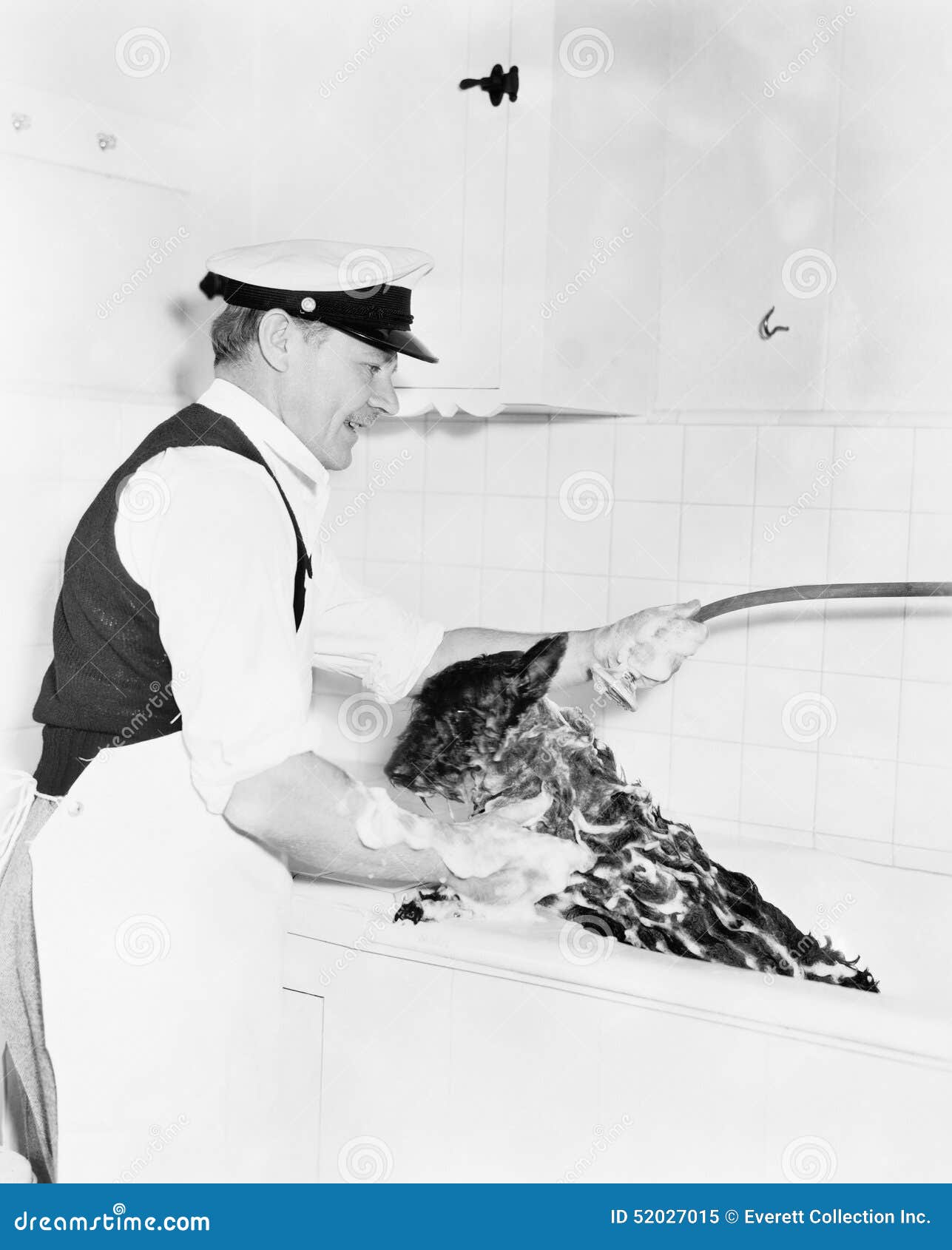 Man Washing His Dog in a Tub Stock Image - Image of nostalgia, animals ...