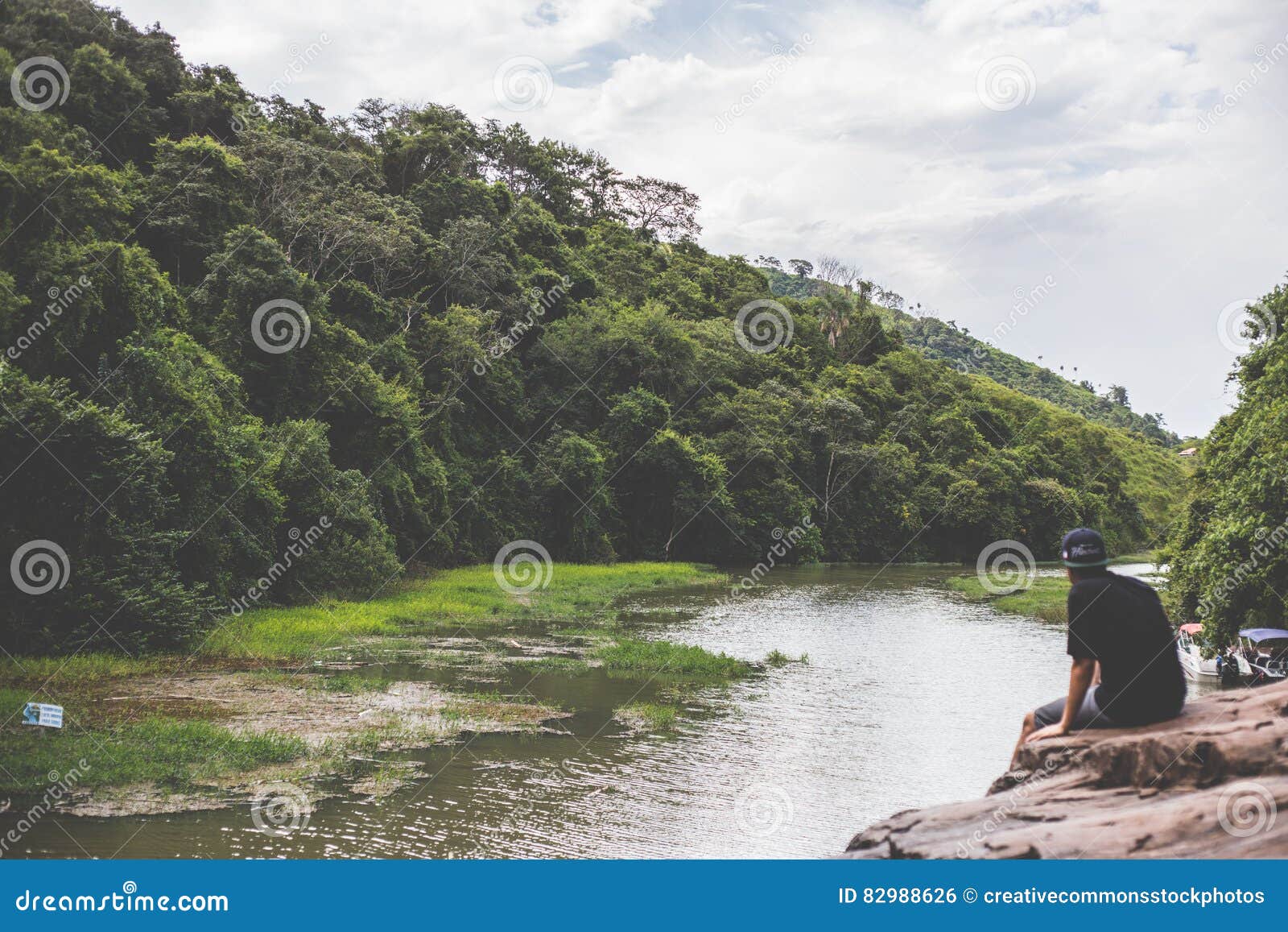Man Watching River Picture. Image: 82988626
