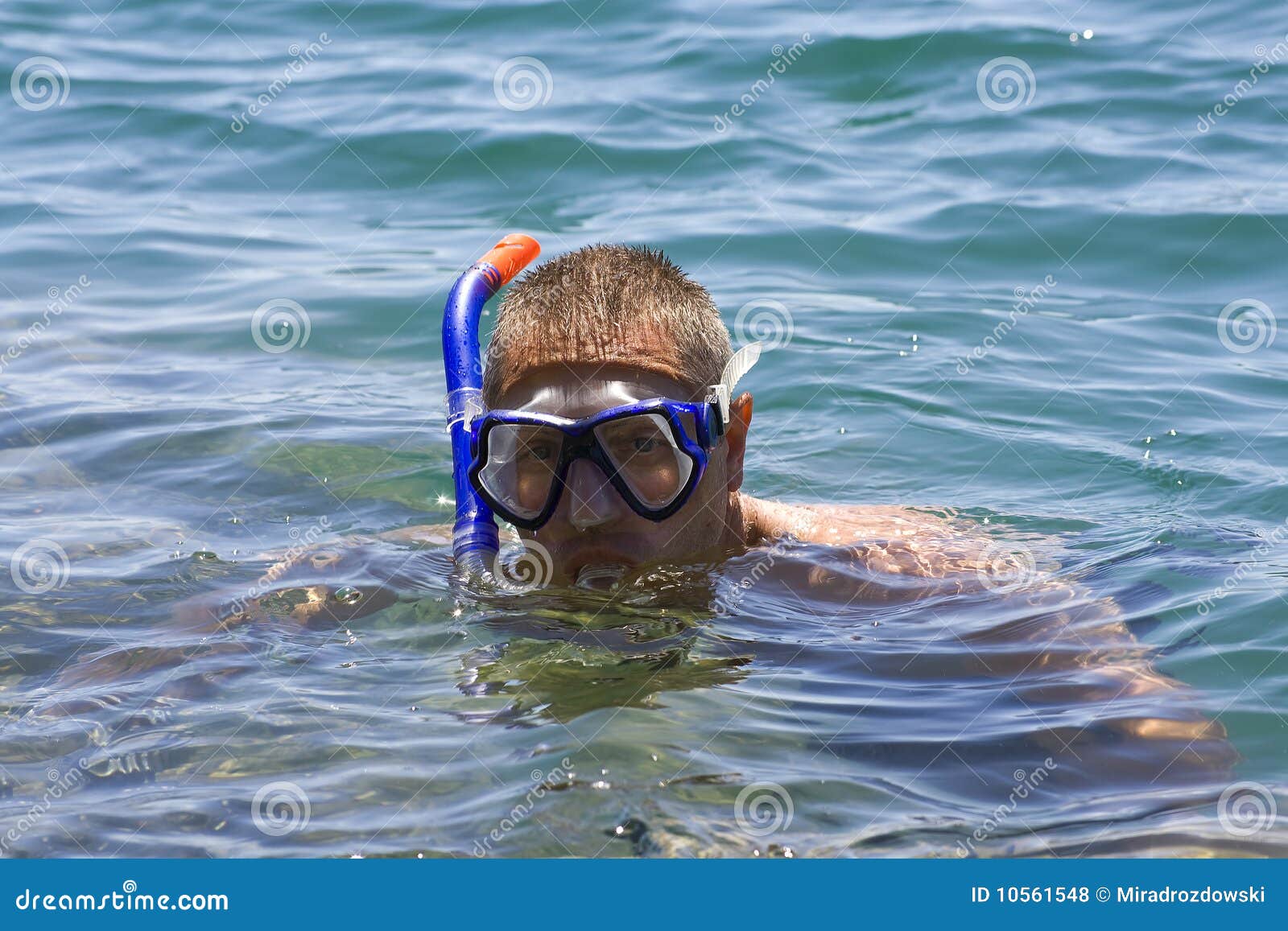 Man in the water stock photo. Image of ocean, cheerful - 10561548