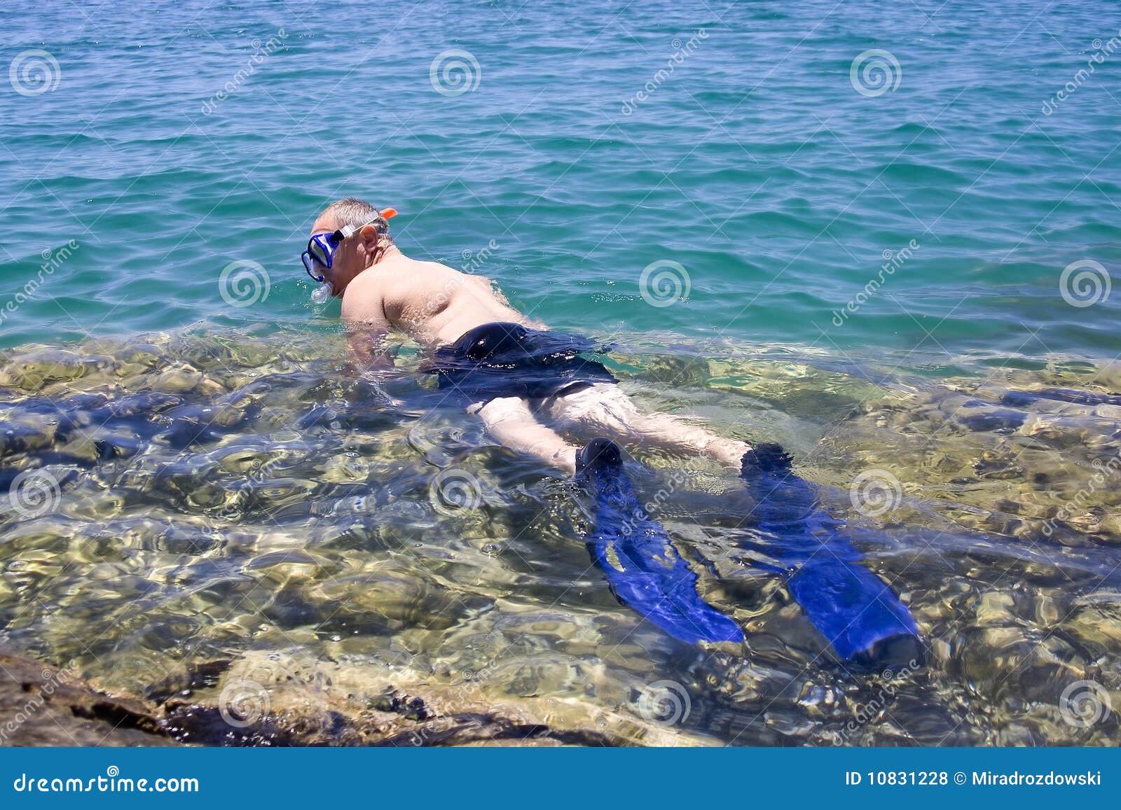 Man in the water stock photo. Image of body, beauty, cheerful - 10831228