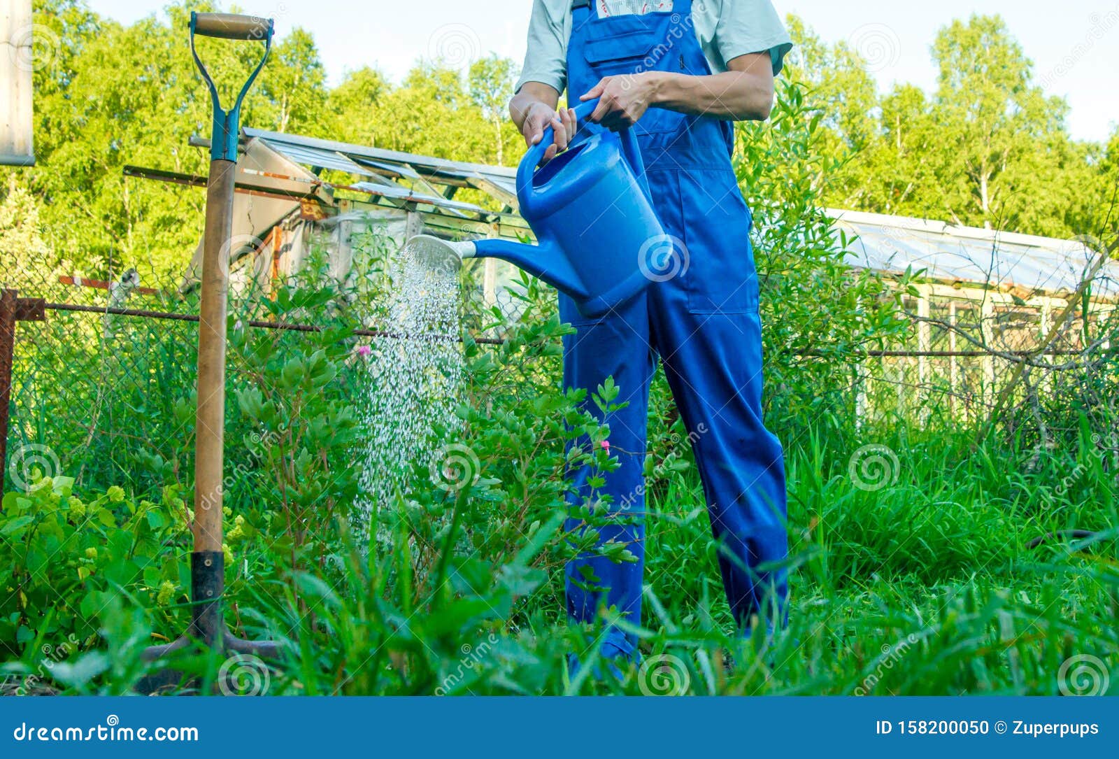 A man with a watering can, stock photo. Image of care - 158200050