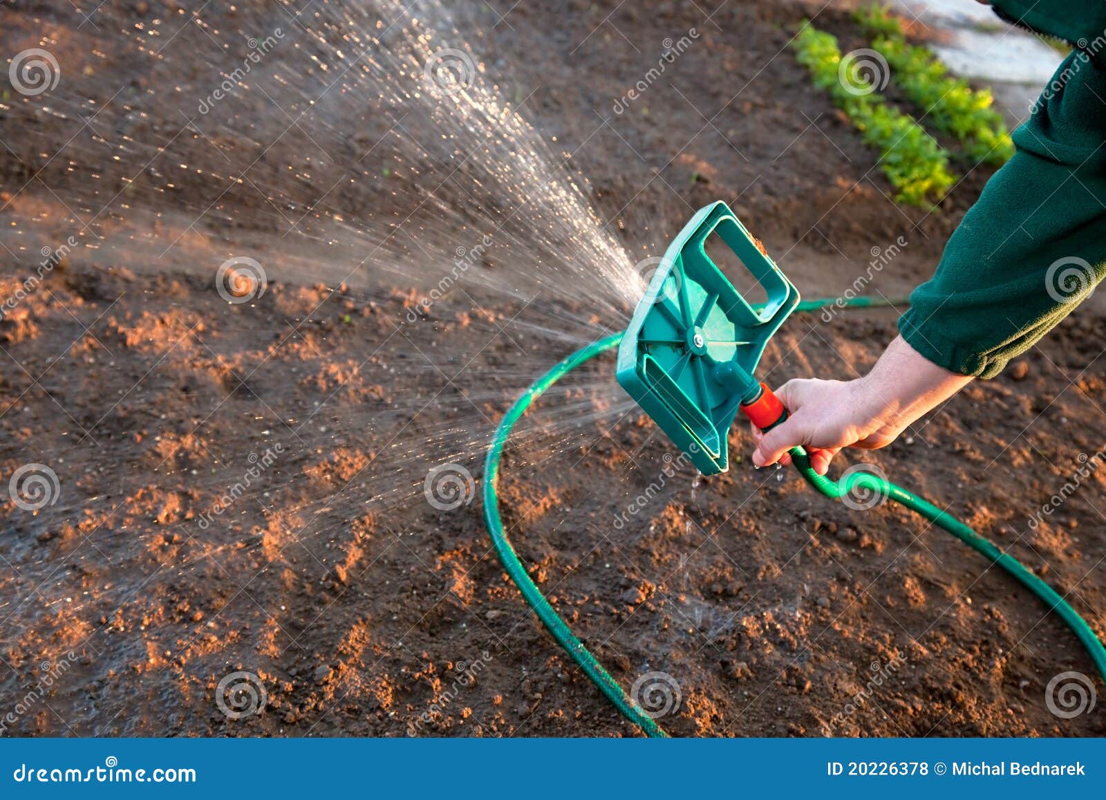 Man watering the ground stock photo. Image of meadow - 20226378