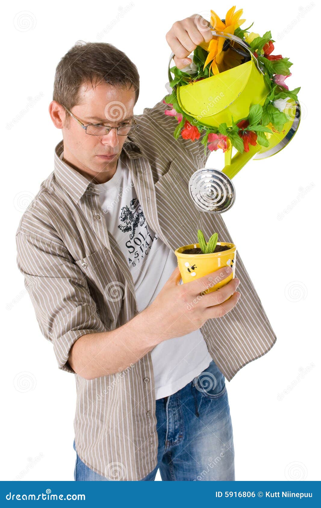 Watering A Small Cherry Tree In The Garden From A Metal Bucket, Farm ...