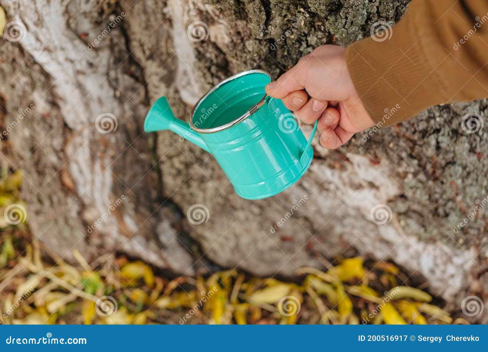 A Man is Watering a Tree with a Bright Watering Pot Stock Image - Image ...