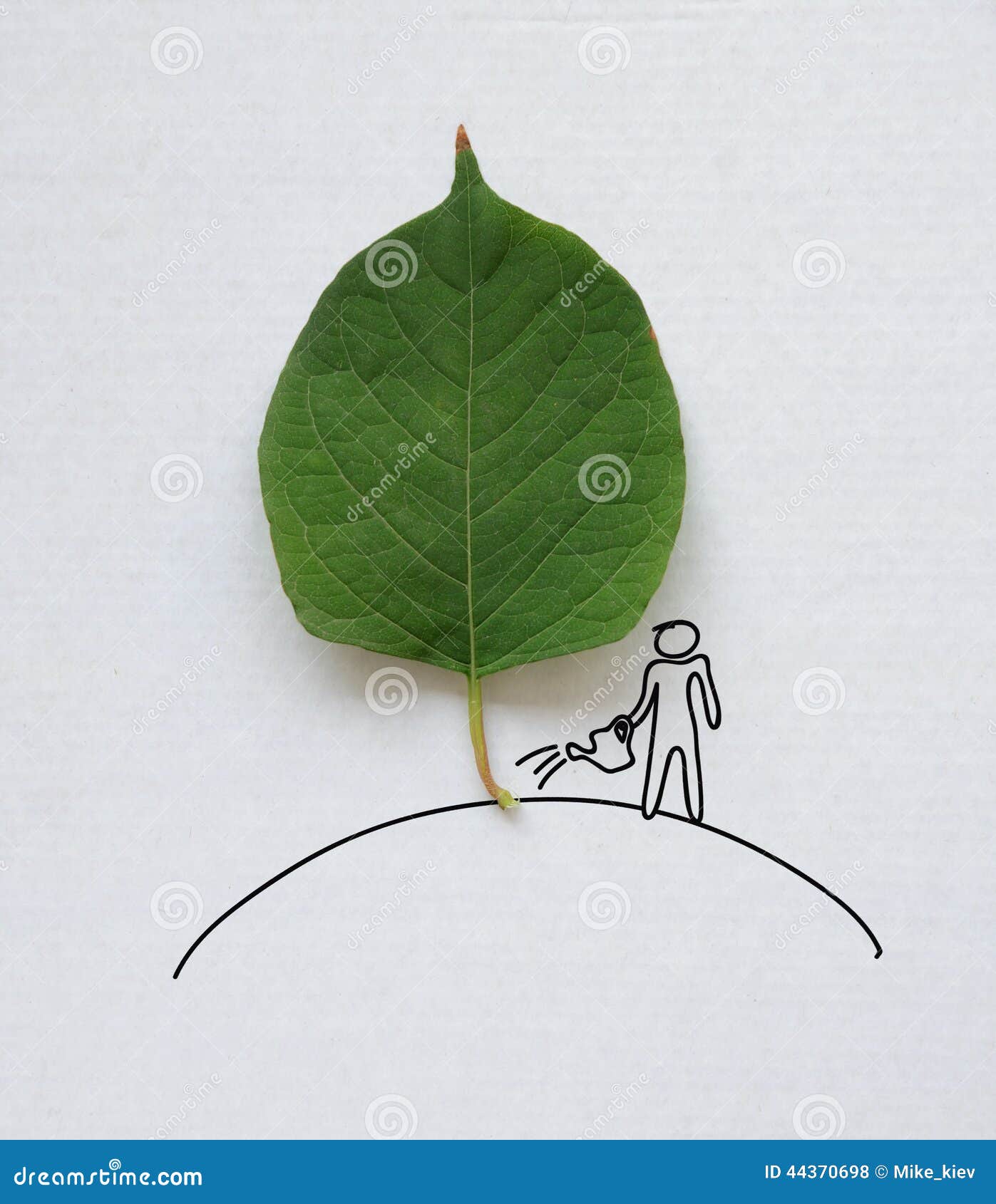 Man watering a tree stock photo. Image of watering, growth - 44370698 Man watering a tree stock photo. Image of watering, growth - 44370698