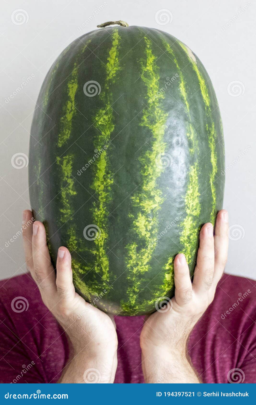 Man with Watermelon Hiding His Face. How To Pick a Watermelon Concept ...