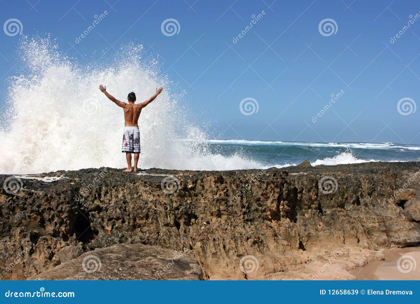 Man and waves stock image. Image of holidays, hawaii - 12658639