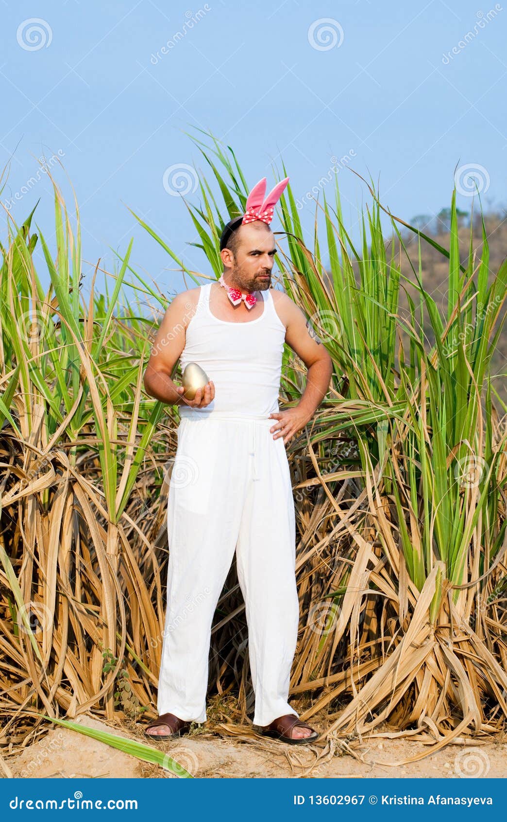 Man Wearing Bunny Hat stock image. Image of easter, green - 13602967