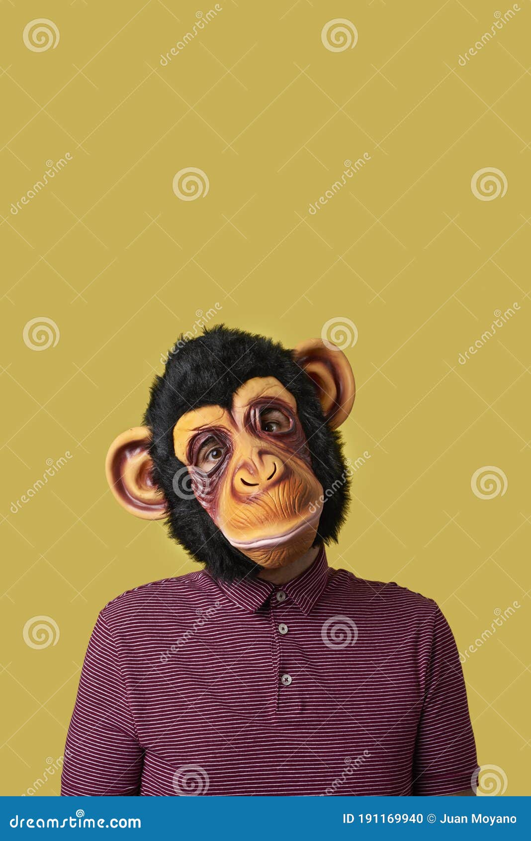Man wearing a monkey mask stock photo. Image of festive - 191169940