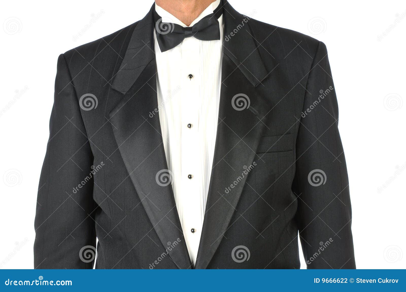 Man Wearing Tuxedo stock photo. Image of formal, torso - 9666622