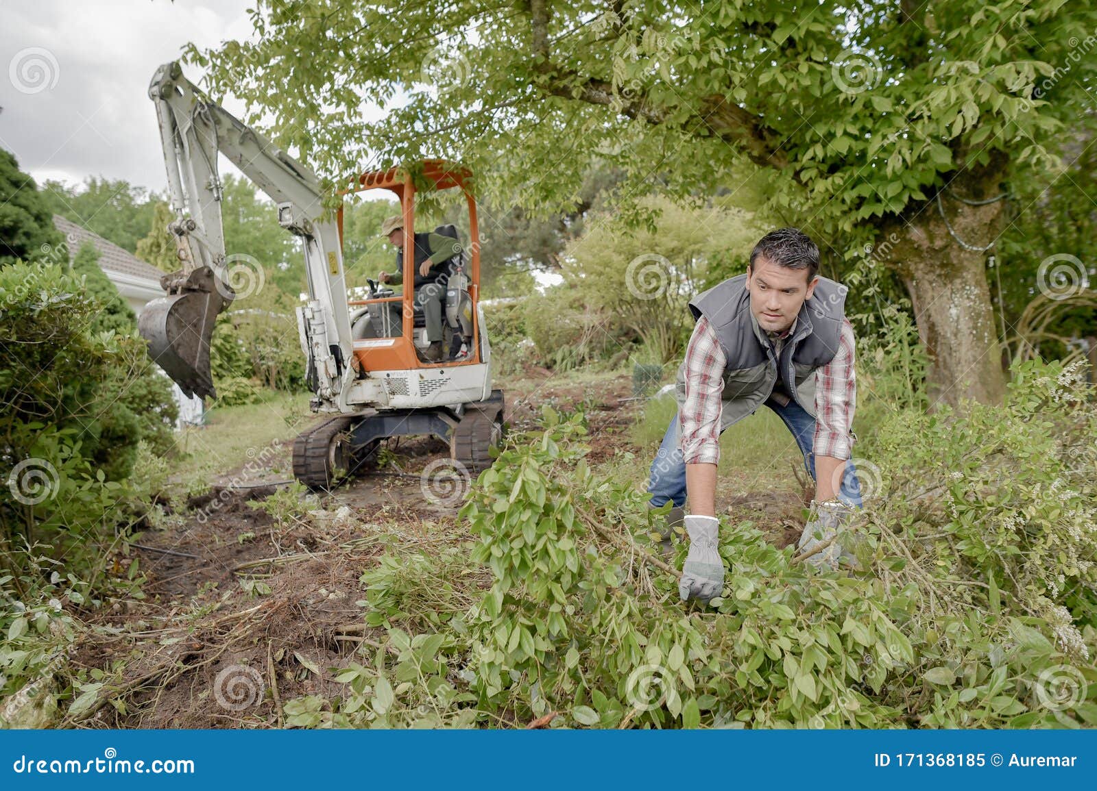 Man weeding garden stock image. Image of dirt, weed - 171368185