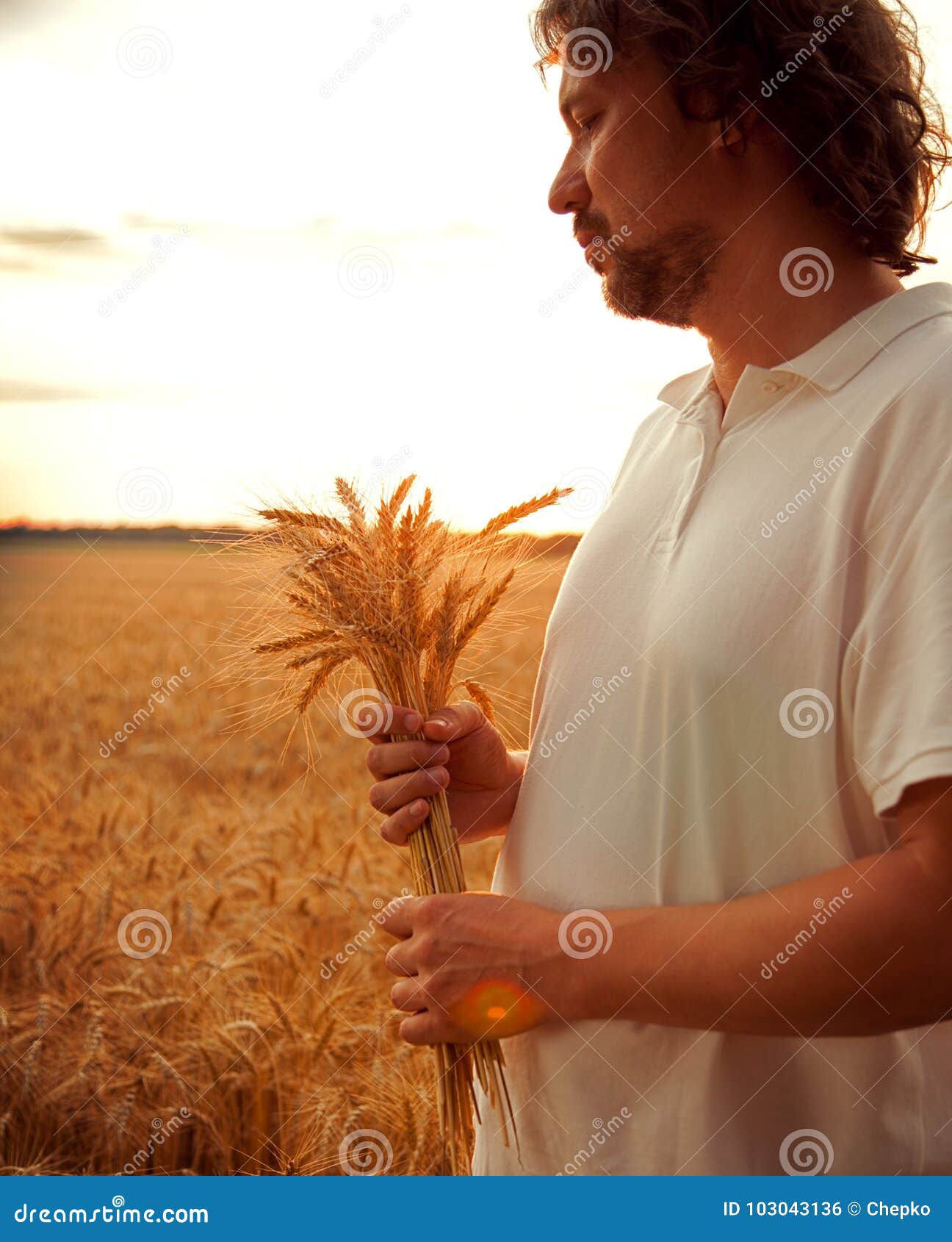 Man with Wheat Ears on Background of Field Stock Photo - Image of ...