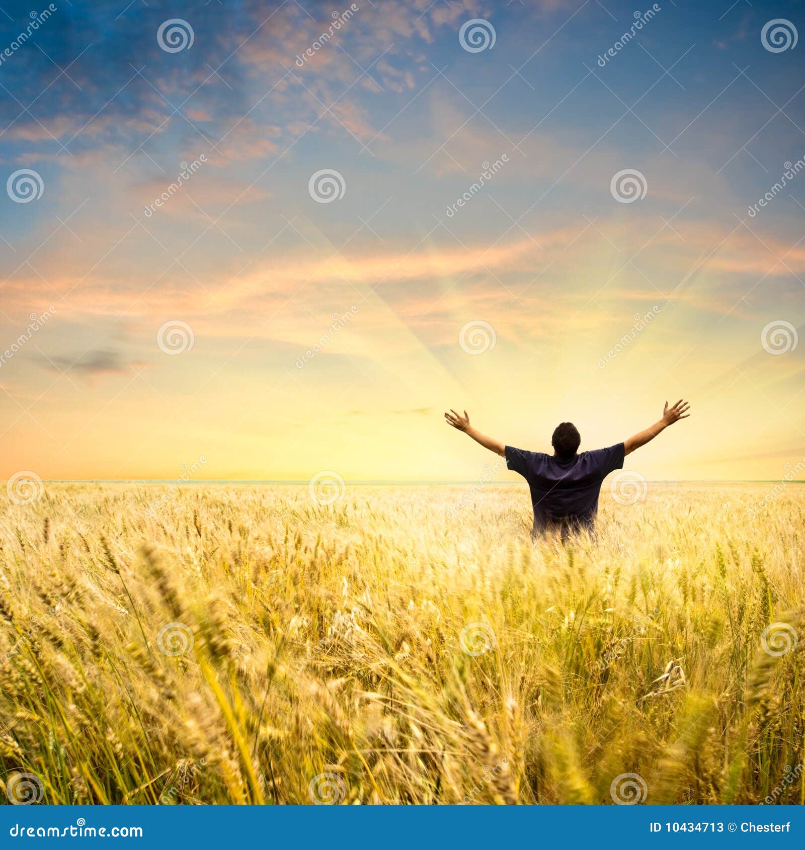 Man in wheat field stock image. Image of enjoy, life - 10434713