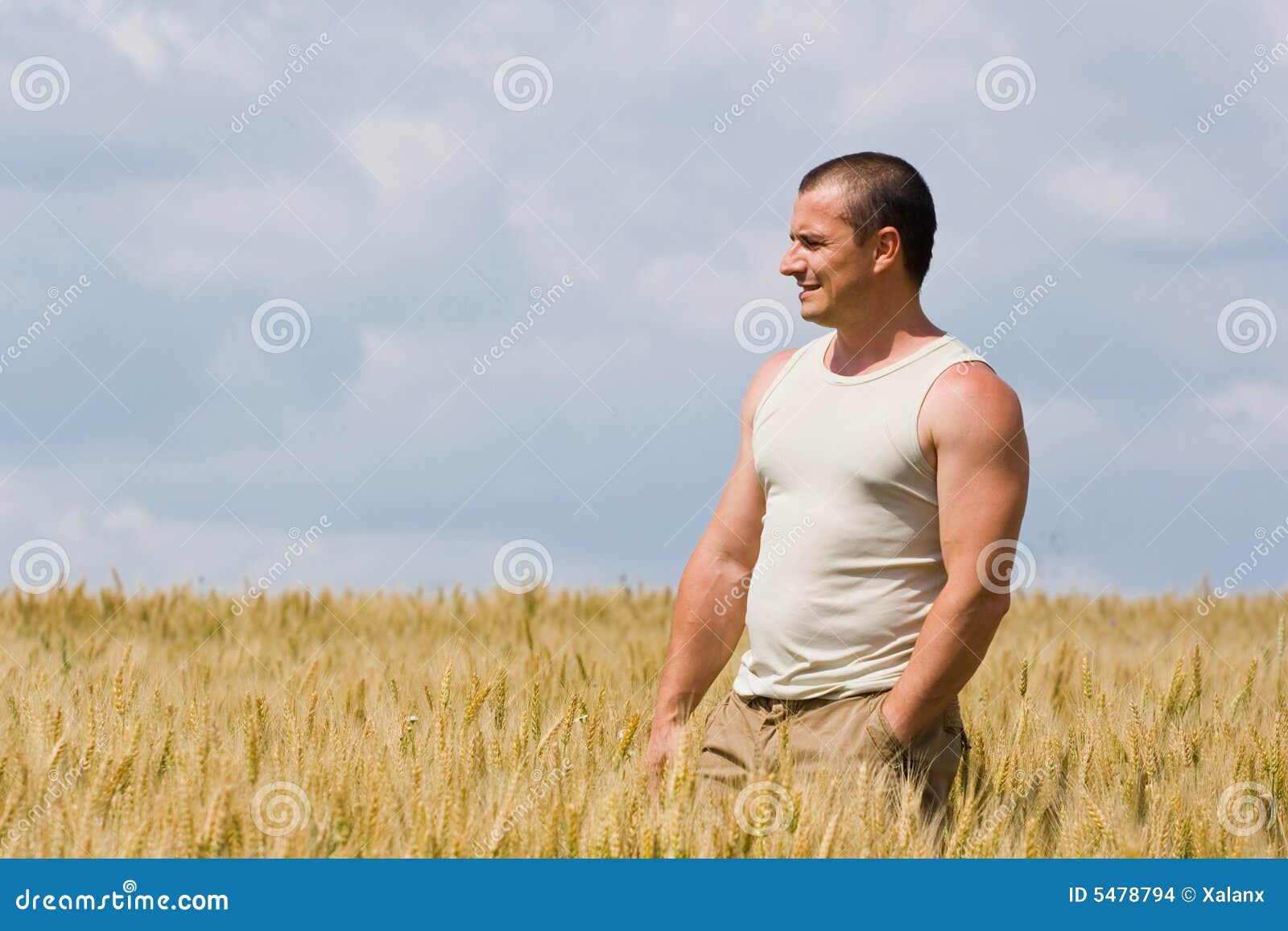 Man in wheat field stock photo. Image of agricultural - 5478794