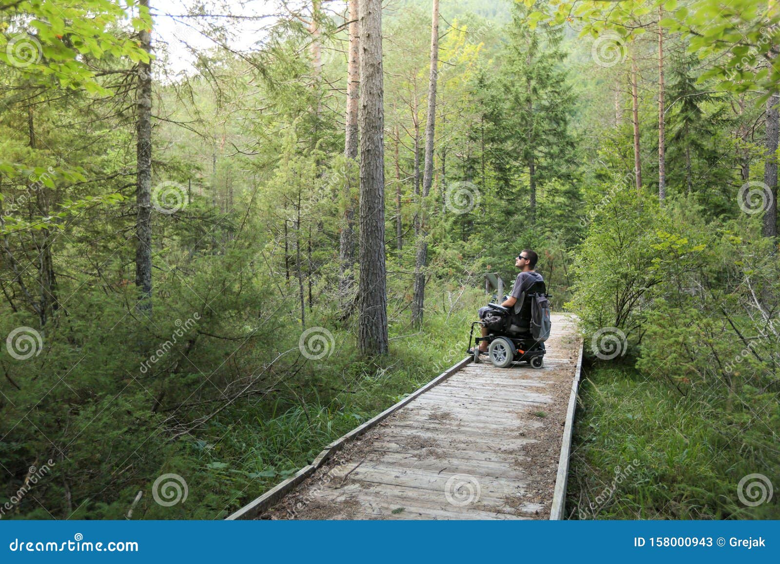Man on a Wheelchair in a Forest. Stock Image - Image of accessible ...